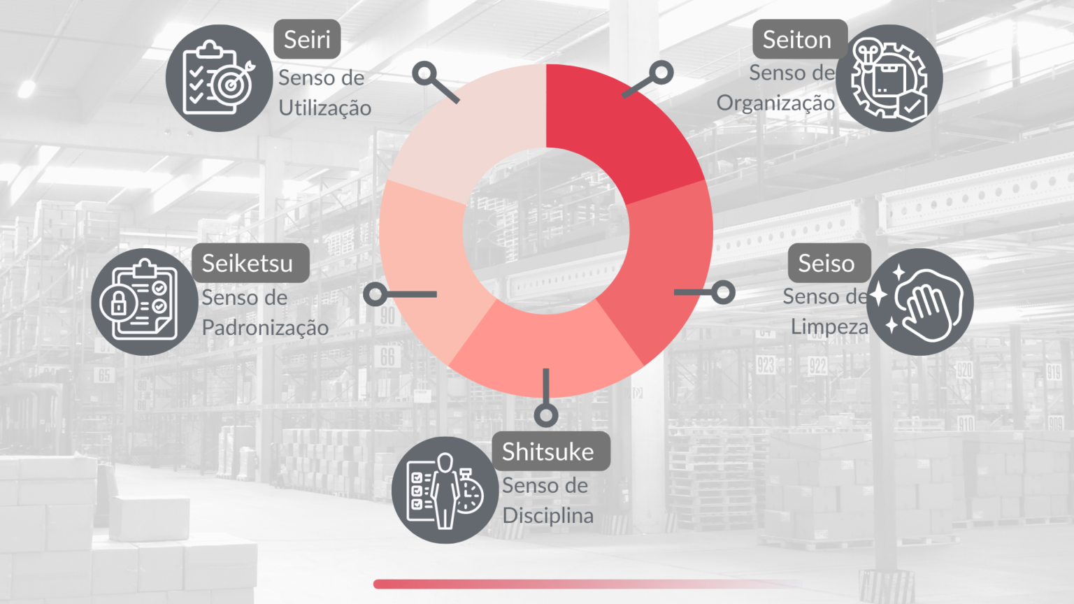 Metodologia 5s na Logística: conheça o processo e aplicações